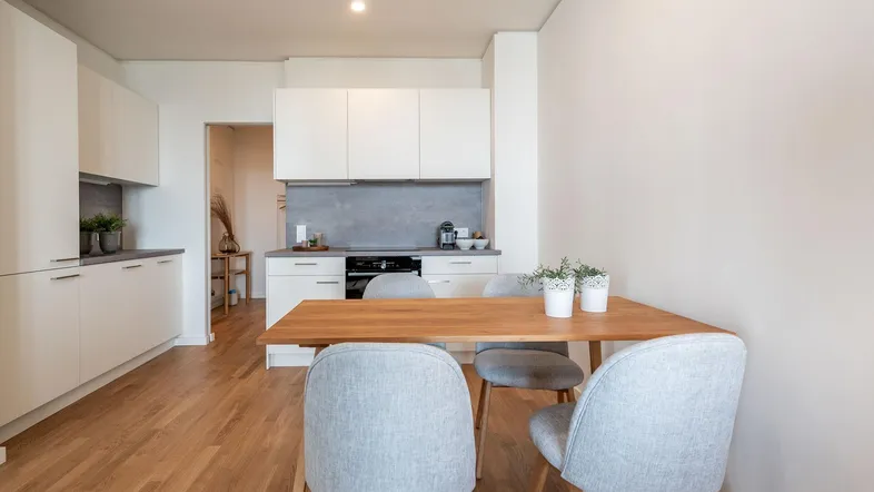 Erstbezug In Der Neuen Donaustadt | Mietbeginn Ab 1. April | 1,5 Zimmer ...