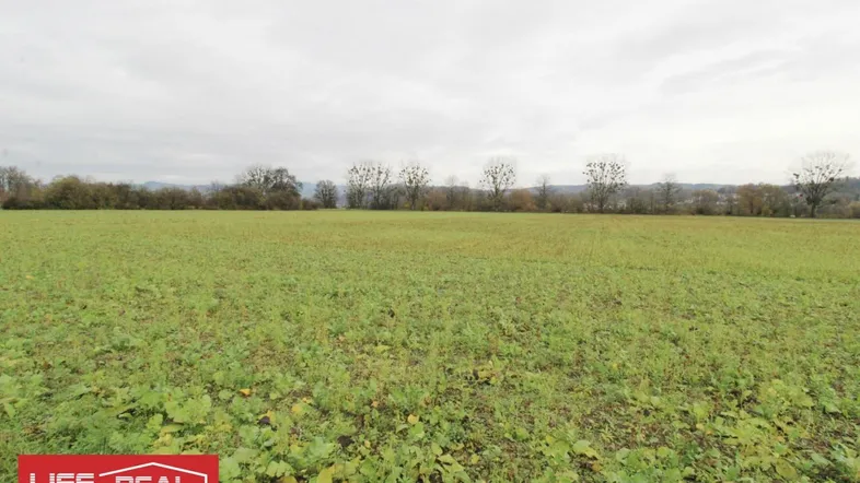 TOP LAGE, TOP - ACKER, ökologische Projekte, Gemüseanbau, Obstplantage ...