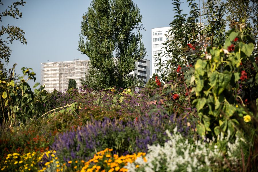 Falkenberger Chaussee 95,99 - Projekt - HOWOGE mbH in Berlin