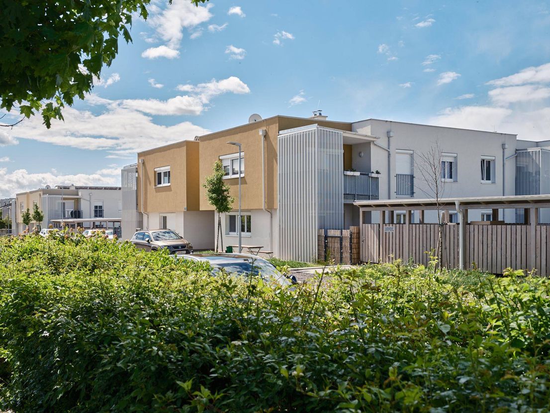 Nebau Winzerweg-Michael Pinzol