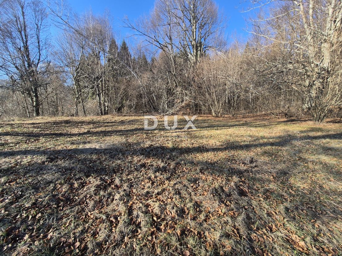 1765569724 20251211 113211