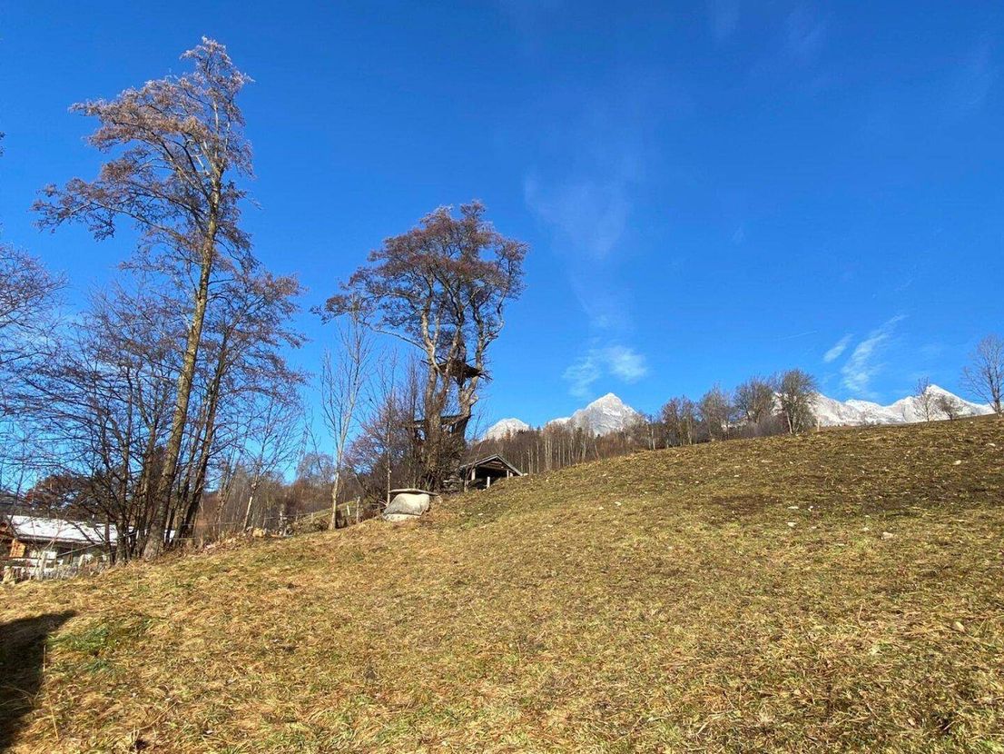 JavaScript ist nicht aktiviert.