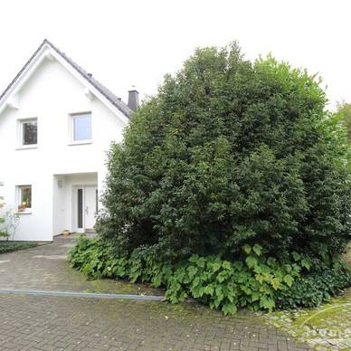 Haus mieten in Dresden - ImmoScout24