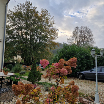 Wohnung bis 50 qm mieten in Bad Sobernheim - ImmoScout24