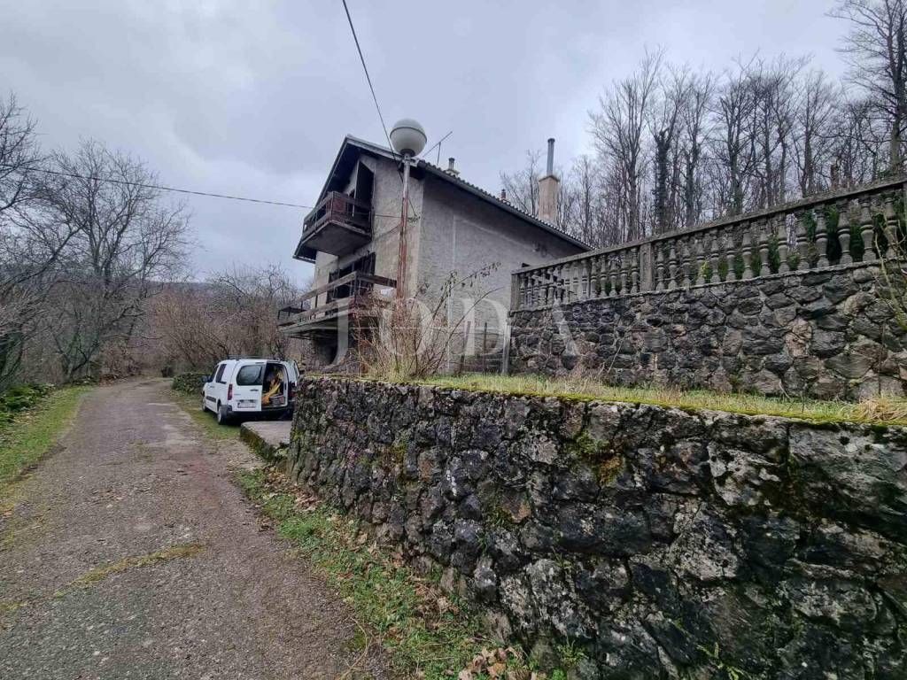 163962840 1763563145