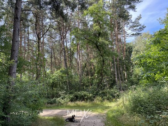 Wald kaufen in Wegberg, Arsbeck, Merbeck - Kleine Flurstücke für ...