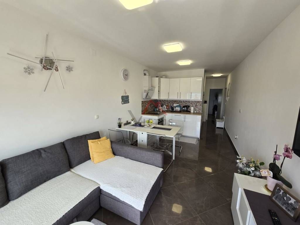 164687970 1766567707