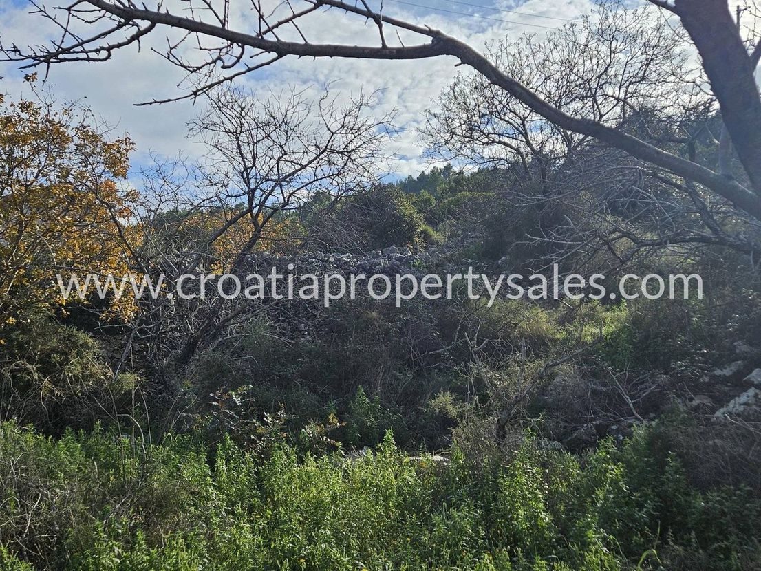 164694883 1766620507