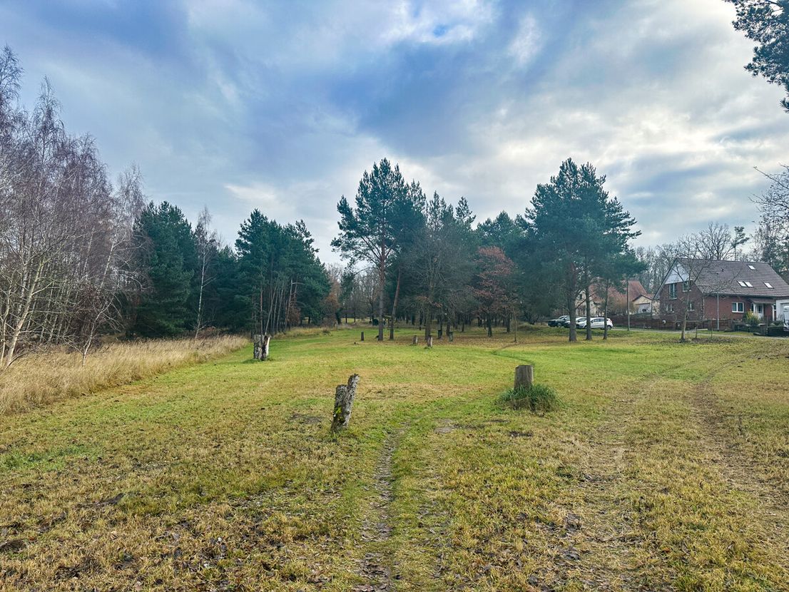 Blick von der Straße