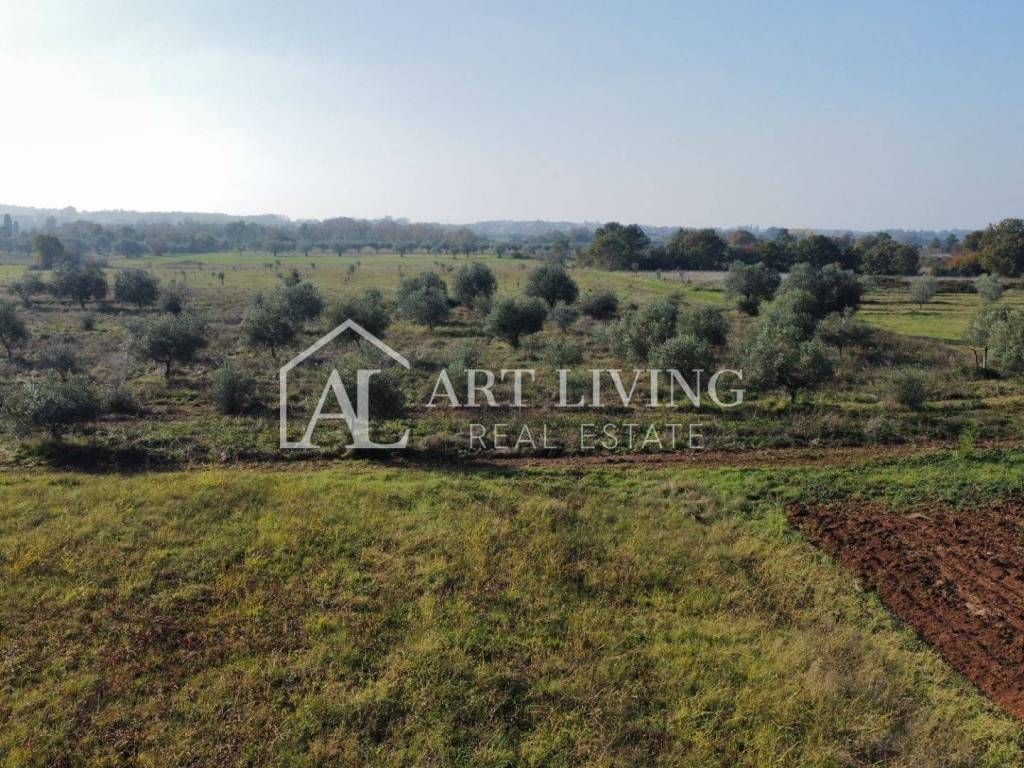 164774213 1767231659