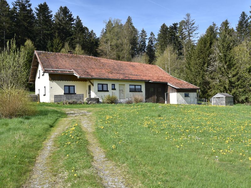 Gebrauchtes Haus Kaufen
