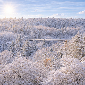 Immobilien in Grünwald - ImmoScout24