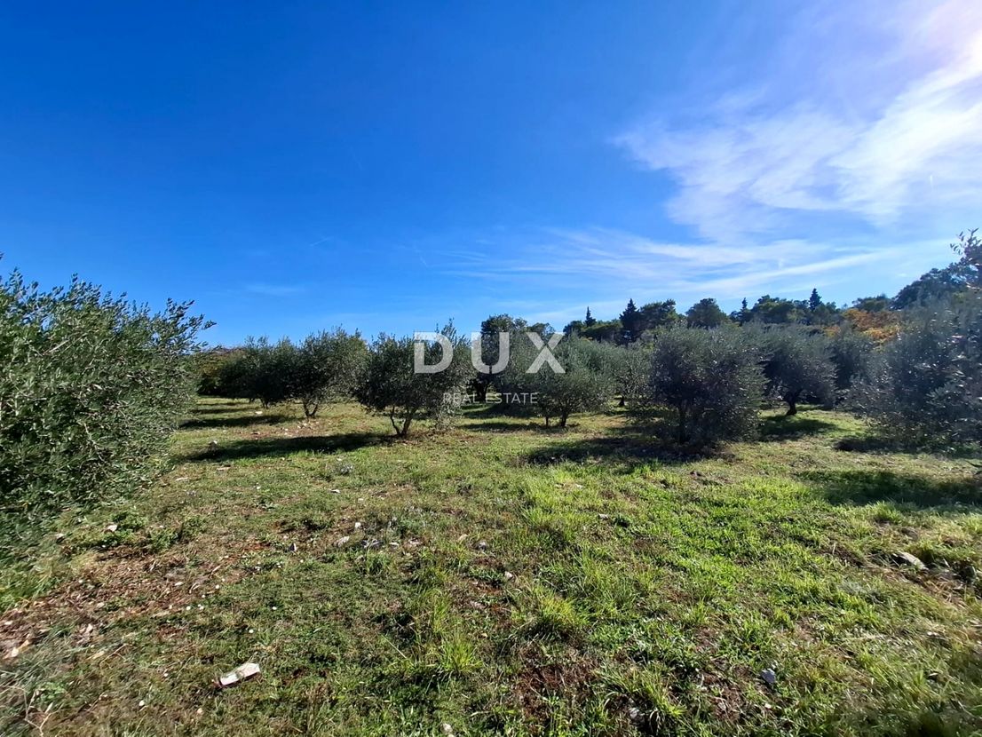 1766079451 istra-gradevinsko-z