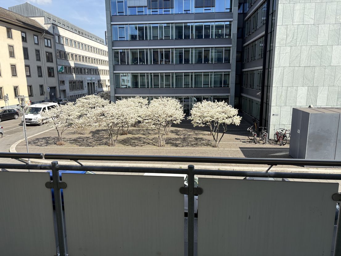 Ausblick