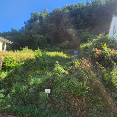 Haus kaufen in Rodalben - ImmoScout24