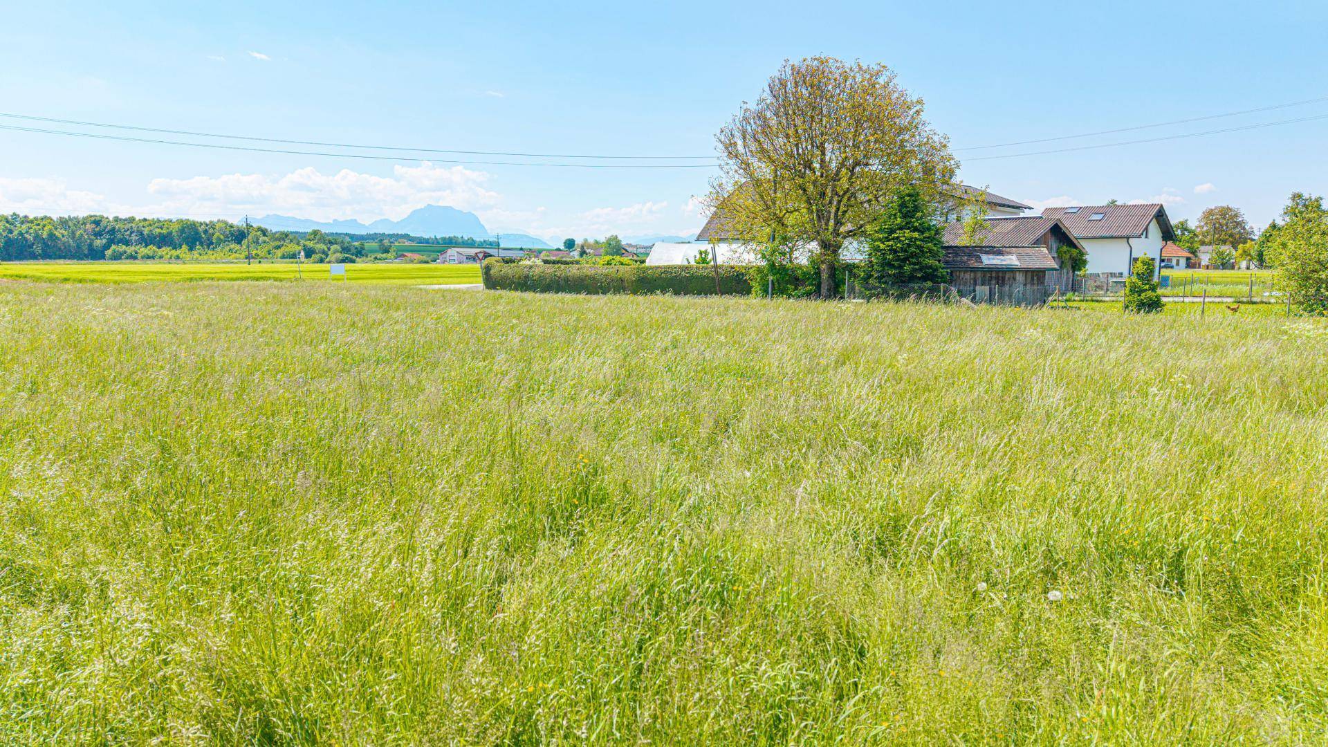 Baugrundstück am Land