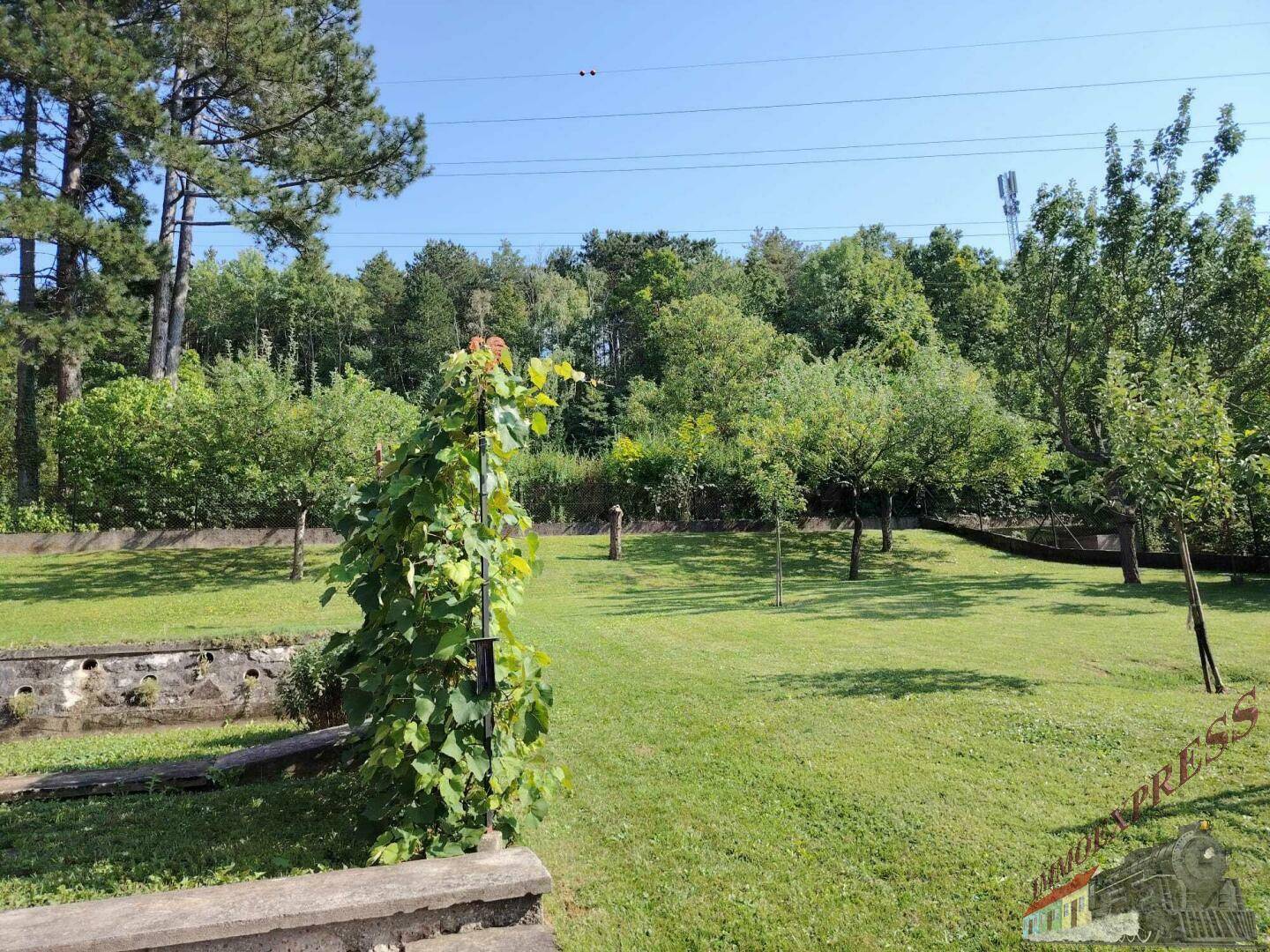 Einfamilienhaus mit großem Grundstück (2 Parzellen) wartet auf nette ...