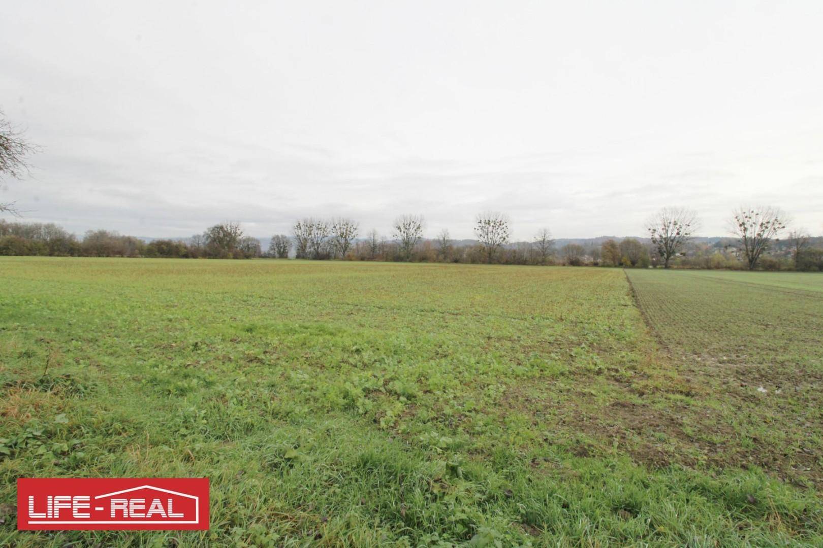 TOP LAGE, TOP - ACKER, ökologische Projekte, Gemüseanbau, Obstplantage ...